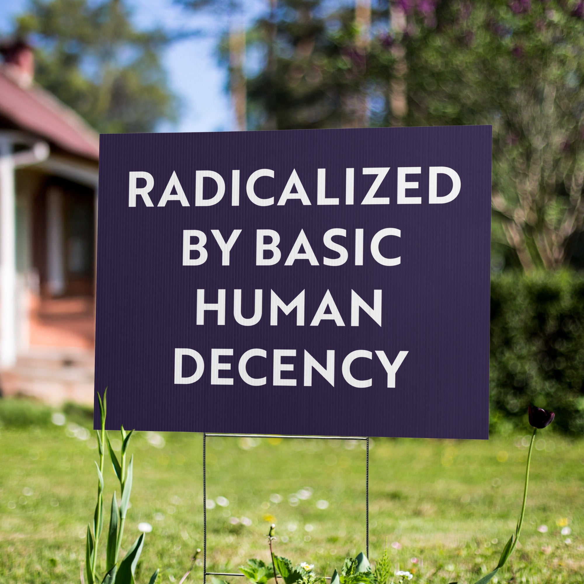 Radicalized by Basic Human Decency Yard Sign – Sharon McMahon's Merch Store